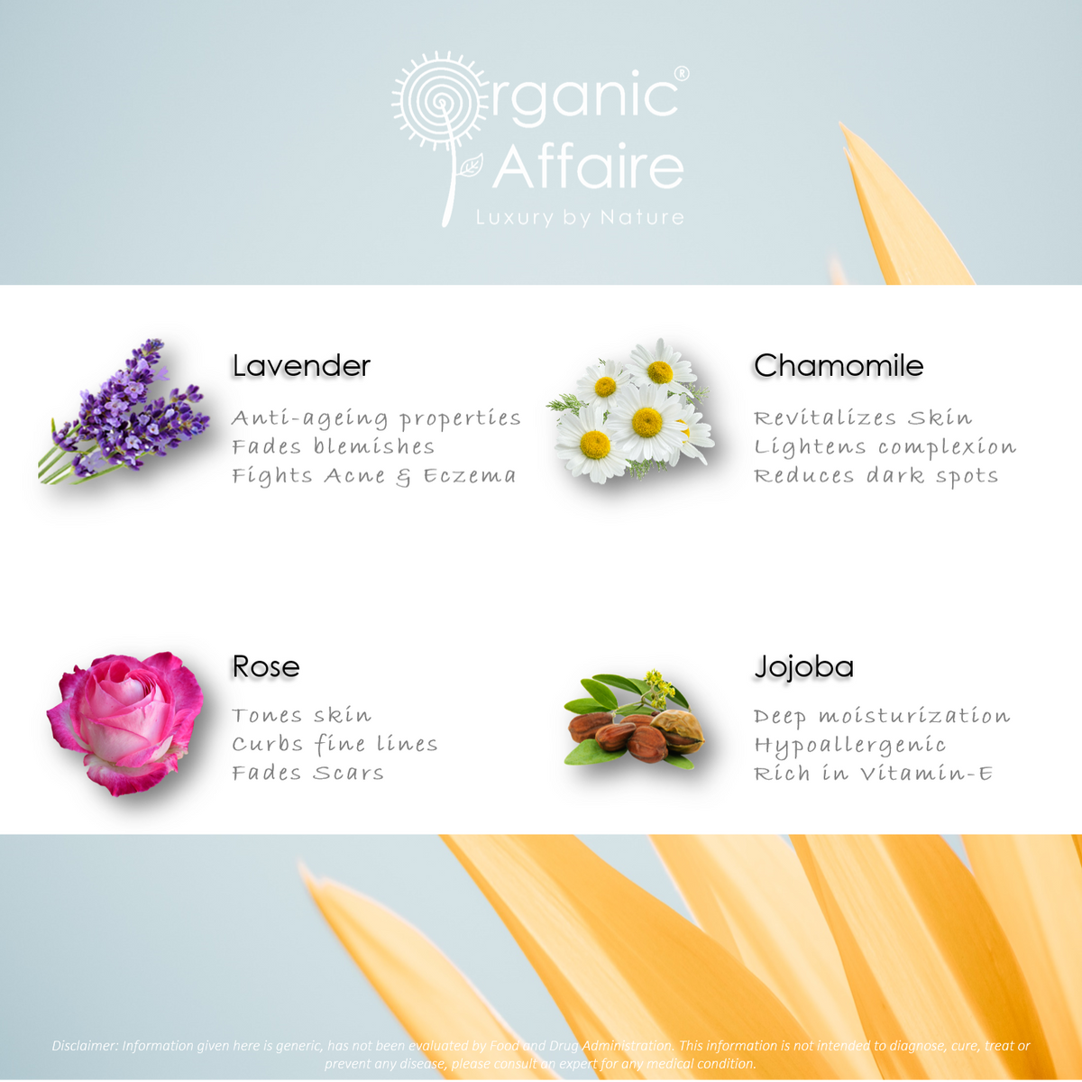 Buy Organic Anti Aging Night Cream - Florette | Organic Affaire